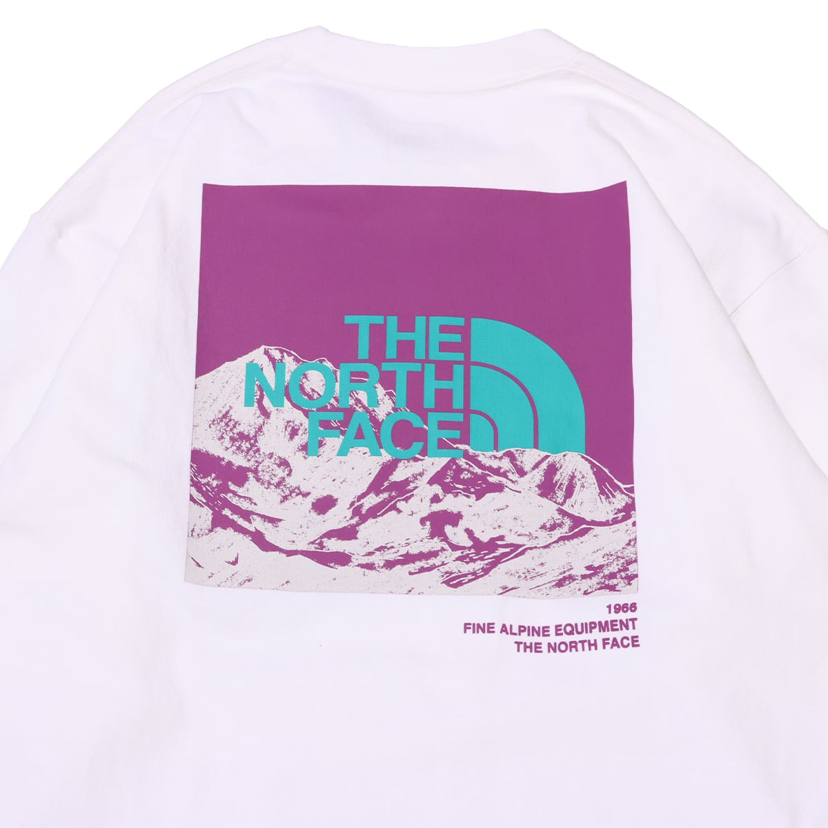THE NORTH FACE L/S Sleeve Graphic Tee ホワイト 24SS-I(ザ THE NORTH FACE L/S Sleeve Graphic Tee ホワイト 24SS-I(ザ